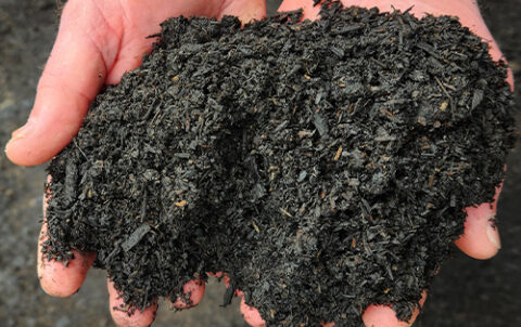 Products & Pricing - TAGRO